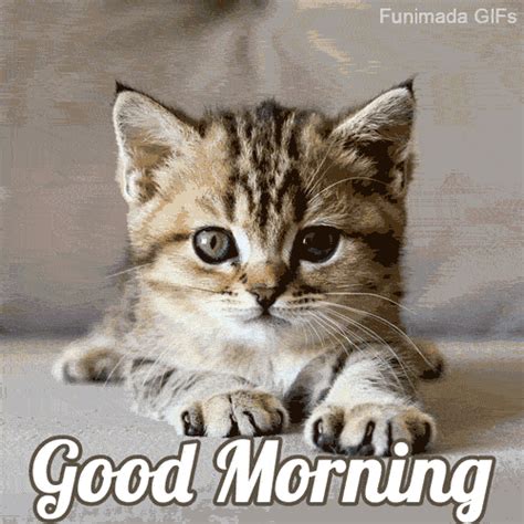 Animated  Good Morning