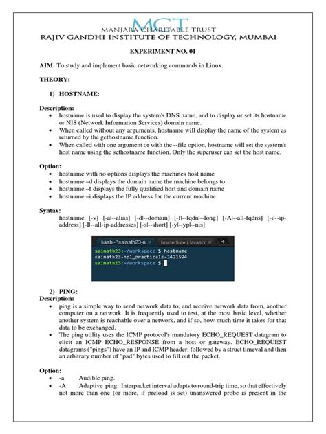basic linux networking commands pdf domain name system command