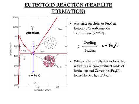 Ppt Fe Carbon Diagram Ttt Diagram And Heat Treatment Processes