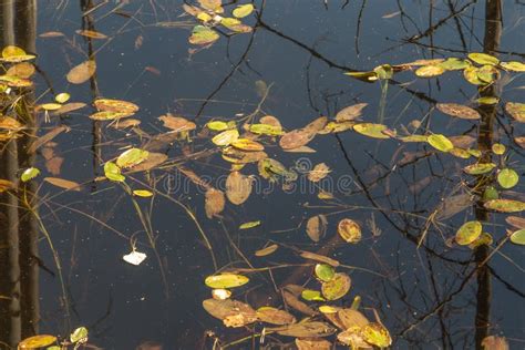 The Pits Were Flooded With Water From The Iron Mine That Was Sunk A Hundred Years Ago Stock