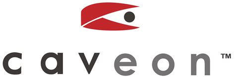 Likert Items In Scorpion Explained Caveon Test Security