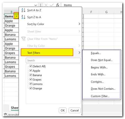 How To Use Filter In Excel By Using Different Ways