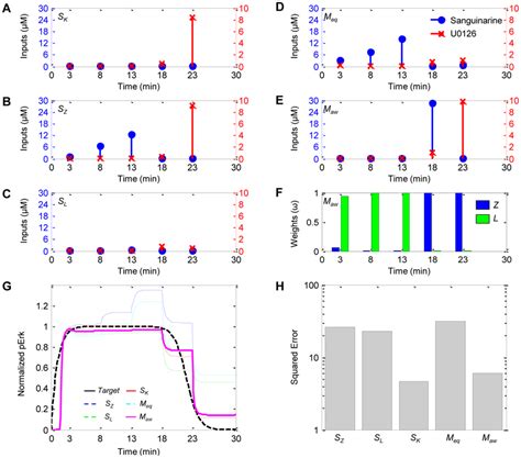 Simulations Indicate Adaptive Weighting Strategy Significantly Improves