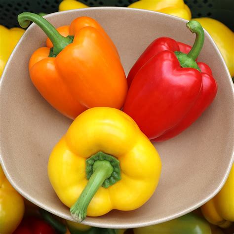 파프리카 정품 3색 15kg 홈플러스 택배배송