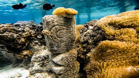 The Rich History Of Tiki Culture Tiki Kulture