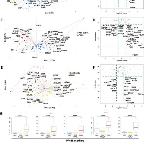 Snp Calling Analysis Pipeline On Rna Seq Data This Workflow Was Download Scientific Diagram
