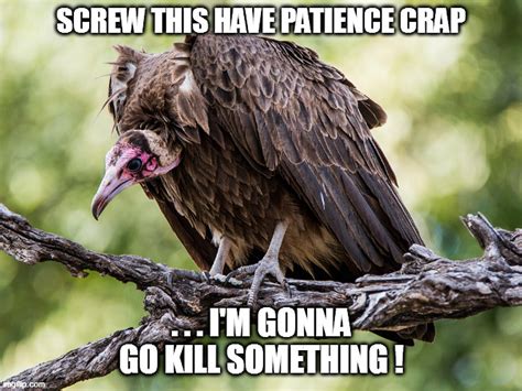 Time To Get All Proactive Imgflip