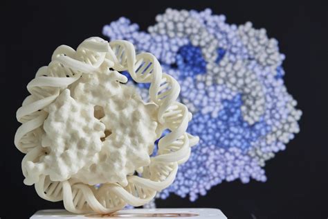 Pathogen Identification Next Generation Sequencing Optimizes Diagnostics Fraunhofer Igb