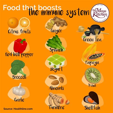 Immune System Foods