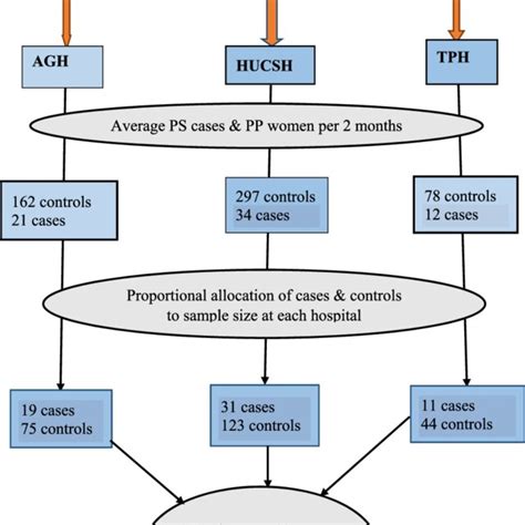 Schematic Presentation Of Sample Size Allocation For The Determinants Download Scientific