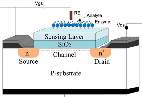 3 Classical Architecture Of Isfet Biofet With Conventional Field Download Scientific Diagram