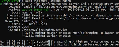 Hướng Dẫn Cài đặt Nginx Trên Ubuntu Server 2004
