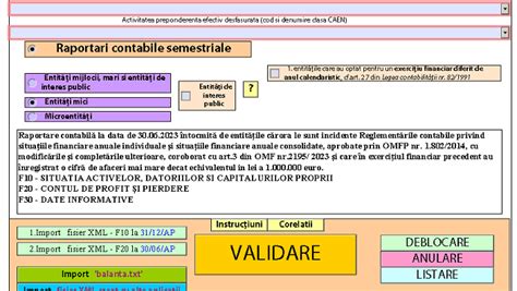 Bilanț Raportare Contabilă 30 06 2023 Anaf A Publicat Pdf Ul Inteligent Necesar Generării