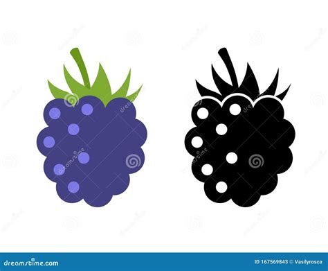 Raspberry Vector Icon Illustration Flat Berry Sweet Healthy Organic Fruit Raspberry Blackberry