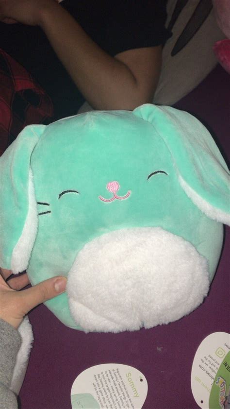 Nonbinary Squishmallow