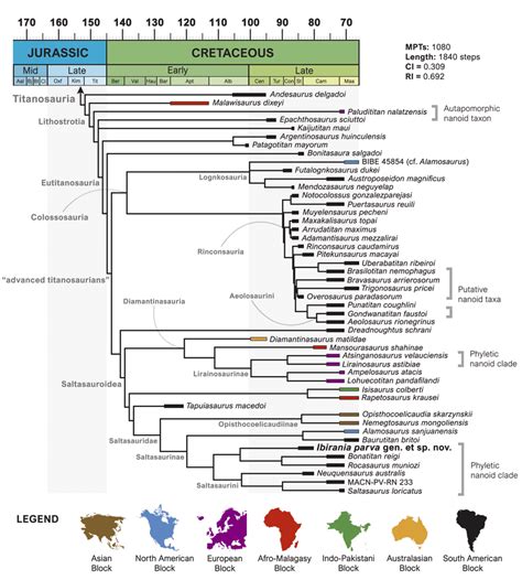 Temporally Calibrated Strict Consensus Tree Depicting The Phylogenetic Download Scientific