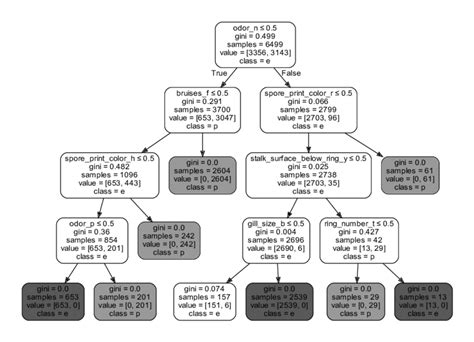 Example Of A Decision Tree Classifier For The Mushroom Data Set Download Scientific Diagram