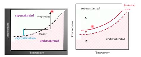 Diagram Of Polymorphism Quizlet