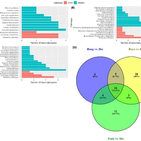 Functional Classification Of Up Regulated Deg 3dah Based On The
