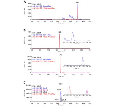 Representative Chromatograms Of Dna Samples Obtained By Hplc Esi Ms Ms Download Scientific