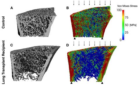 12 Finite Element Analysis Visualizations Represent 3d Surface