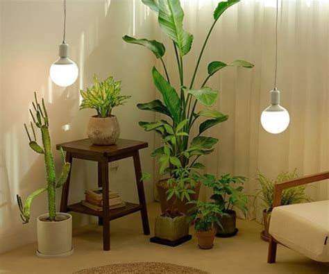 디에스이 ‘히포팜텍 식물생장등 선봬