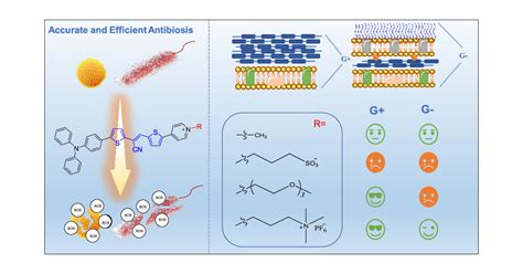 Molecular Charge And Antibacterial Performance Relationships Of Aggregation Induced Emission