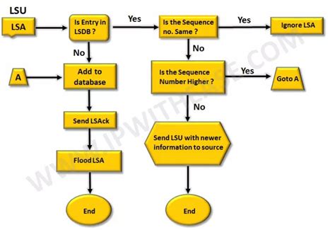Understanding Ospf Lsa Data Structure Ip With Ease
