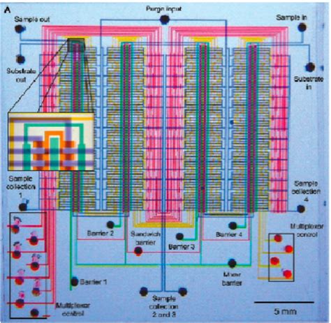 Example Of A Complex Microfluidic Device Contains Hundreds Of Download Scientific Diagram
