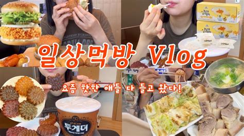 먹방 브이로그 요즘 핫한건 못참지~~ ️‍🔥이모카세 경동시장 안동국시 여수언니 요거꿀떡 봄날엔 약과 신메뉴 맘스터치 싸이버거 일상먹방 폭식 브이로그🤗 Youtube