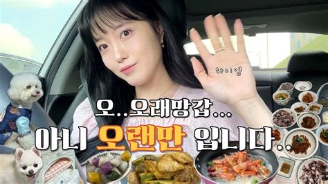 Vlog 얼굴 잊을만 할때 쯤 다시 돌아온 브이로그🥹 갓생살기 프로젝트💭 다이어트 일상 👙 해피 추석 🌝 강아지 왕창 등장 브이로그 🐶 Youtube