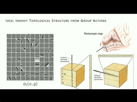 Free Video Group Equivariant Sparse Coding From Conference Gsi Class Central