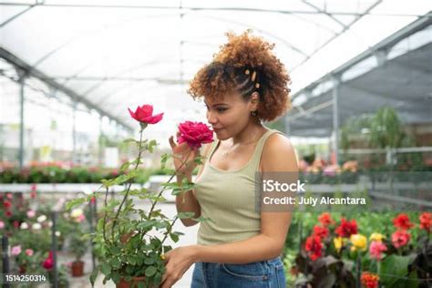 정원 가게의 여자는 꽃 냄새를 맡으며 장미를 위해 화분과 화분을 선택한다 20 29세에 대한 스톡 사진 및 기타 이미지 20 29세 25 29세 고객 Istock