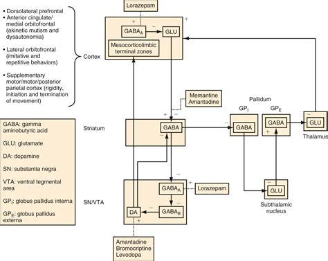 Life Threatening Conditions In Psychiatry Catatonia Neuroleptic Malignant Syndrome And