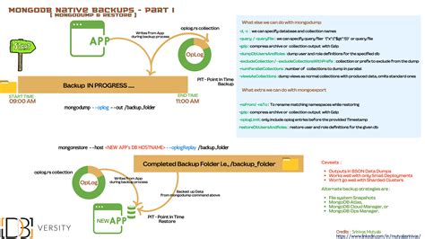 MongoDB Backup Strategies Part 1 DBVERSITY
