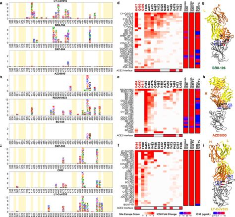 The Neutralizing Abilities Of Group Ac Antibodies Are Mostly Abolished