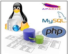 So Mounten Sie Apache Webserver Php Und Mysql Von Grund Auf Neu