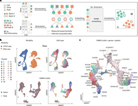 Multi Omics Integration Of Scrna Seq And Scatac Seq Data Using Simba A