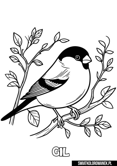 Gil Kolorowanki Darmowe Kolorowanki Do Druku