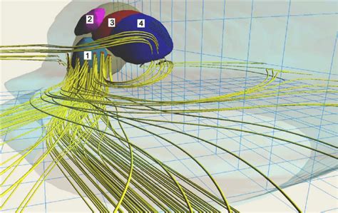 Air Flows Streamlines At The Mature Stage Of The Convective Cloud On Download Scientific