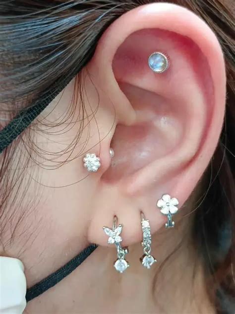 ไอเดียเจาะหู สาวเกาแบบตัวมัม แกลเลอรีที่โพสต์โดย Pailin Siva Lemon8