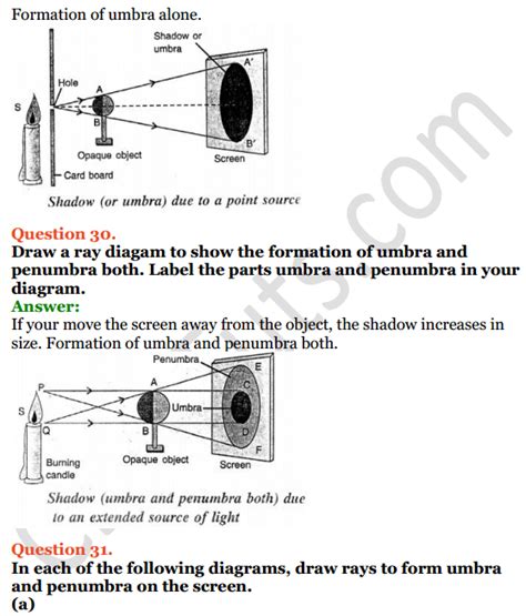 Selina Concise Physics Class 6 Icse Solutions Chapter 5 Light Cbse Tuts