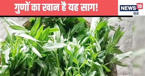 बेशक इस साग का नाम नहीं सुना हो लेकिन पेट के लिए विशुद्ध वरदान है यह