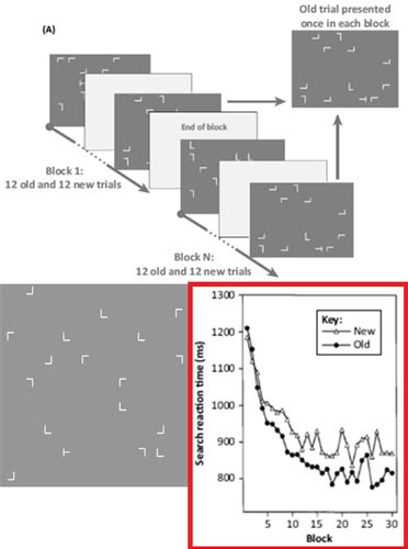 Memory Systems Flashcards Quizlet Memory Systems Flashcards Quizlet