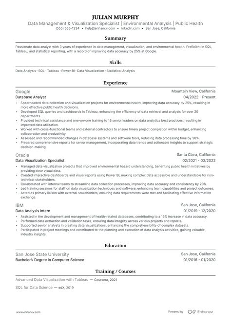 6 Successful Data Visualization Resume Examples And Writing Tips For 2024