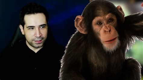 სამეგობრო მაიმუნები Youtube