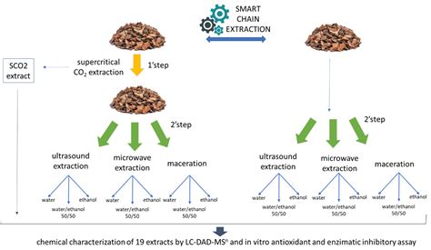 Smart Extraction Chain” With Green Solvents Extraction Of Bioactive Compounds From Picea Abies