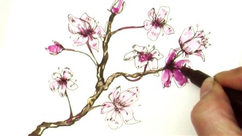 Как нарисовать цветущее дерево карандашом поэтапно для начинающих