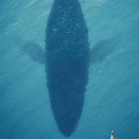 Xiaofei Liu Beijing Jiaotong University Beijing Njtu Department Of Computer Science