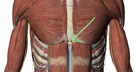 Xiphoid Process Sternum Lump Pain Treatment